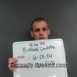 Recent Booking / Mugshot for DAKOTA CHEYANNE BULLARD in Sebastian ...