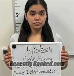 Recent Booking / Mugshot for Britney Kate Charles in Sebastian County ...