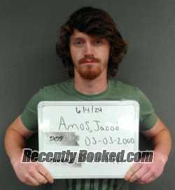 Recent Booking / Mugshot for Jacob Richmond Alson Amos in Sebastian ...