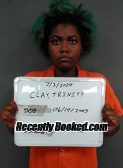 Recent Booking / Mugshot for Trinity Christina Clay in Sebastian County ...