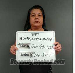 Recent Booking / Mugshot for LYDIA MARIE DELGADO in Sebastian County ...