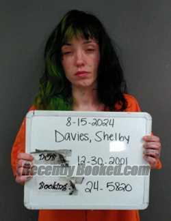 Recent Booking / Mugshot for Shelby Allison Davies in Sebastian County ...