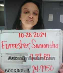 Recent Booking / Mugshot for Samantha Jo Forrester in Sebastian County ...