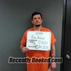 Recent Booking / Mugshot for ANTHONY DEAN RENO in Sebastian County ...