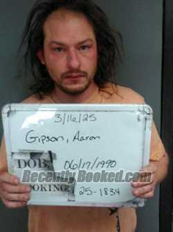 Recent Booking / Mugshot for AARON WAYNE GIPSON in Sebastian County ...
