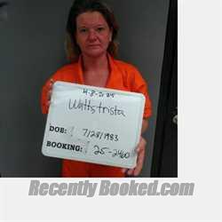 Recent Booking / Mugshot for TRISTA LEE ANN WATTS in Sebastian County ...