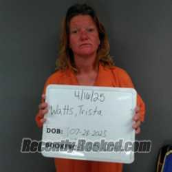 Recent Booking / Mugshot for TRISTA LEE ANN WATTS in Sebastian County ...