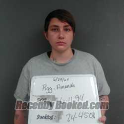 Recent Booking / Mugshot for Amanda Paige Pigg in Sebastian County ...