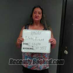 Recent Booking / Mugshot for ALAINA CHRISTINE ADKINS in Sebastian ...