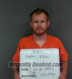Recent Booking / Mugshot for ETHAN WAYNE PALMER in Sebastian County ...