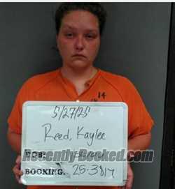 Recent Booking / Mugshot for KAYLEE Ann REED in Sebastian County, Arkansas