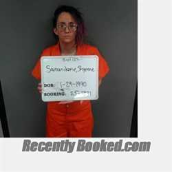 Recent Booking / Mugshot for SHYENNE NICOLE SANANIKONE in Sebastian ...