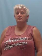Recent Booking / Mugshot for Lisa Jameson in Sevier County, Arkansas