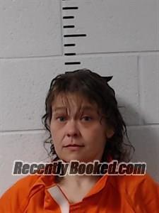 Recent Booking / Mugshot for Heather Baird in Sharp County, Arkansas