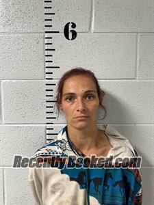 Recent Booking / Mugshot for Alisha Dawn Clark in Sharp County, Arkansas