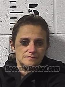 Recent Booking / Mugshot for Cynthia Fowler in Sharp County, Arkansas