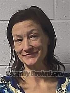 Recent Booking / Mugshot for Heather Angelic Wright in Sharp County ...