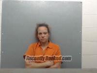 Recent Booking / Mugshot for MELISSA ANN HAYES in Union County, Arkansas