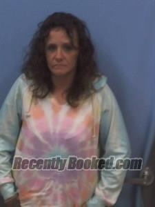 Recent Booking / Mugshot for Bridgette Leann Craft in Van Buren County ...