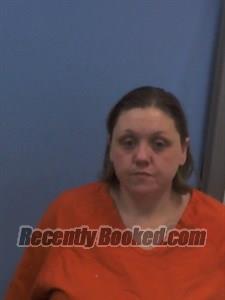 Recent Booking / Mugshot for Felisha Michelle Delano in Van Buren ...