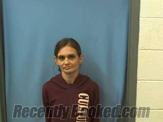 Recent Booking / Mugshot for BRENDA LYNN BIGGS in Van Buren County ...