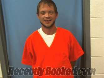 Recent Booking / Mugshot for JUSTIN MICHAEL BINNS in Van Buren County ...