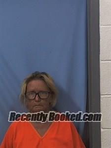 Recent Booking / Mugshot for Tracy Michele Copeland in Van Buren County ...