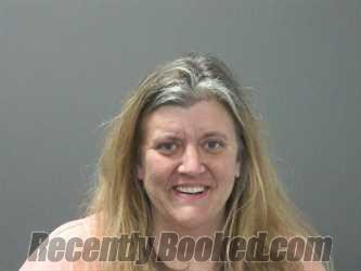 Recent Booking / Mugshot for SARAH FANNING in Washington County, Arkansas