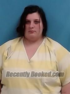 Recent Booking / Mugshot for Jennifer Renee Whitehead in White County ...