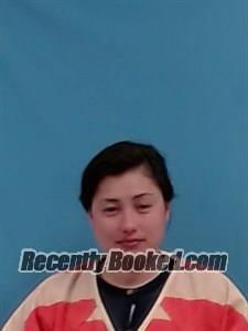 Recent Booking / Mugshot for Michelle B Khokhlov in White County, Arkansas