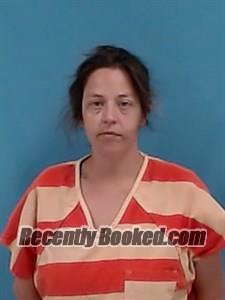Recent Booking / Mugshot for Fallan Kathleen Perkins in White County ...