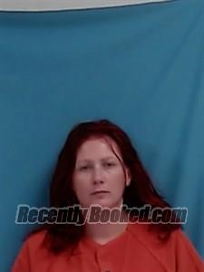 Recent Booking / Mugshot for Ashley Sheree Rinehart in White County ...