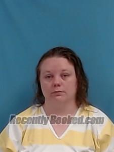 Recent Booking / Mugshot for Haleigh Savannah Fryer in White County ...