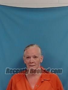 Recent Booking / Mugshot for Regina Ann Elliot-Stokes in White County ...