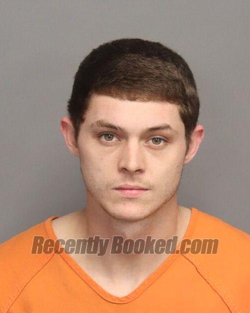 Recent Booking / Mugshot for CHRISTIAN RYAN TYLER BURTON in Laurens ...