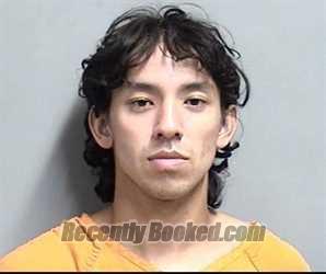 Recent Booking / Mugshot for RYAN GARRETT VAN BAALE in Dallas County, Iowa