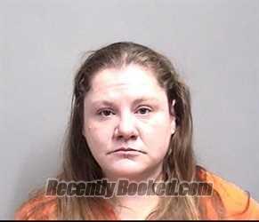 Recent Booking / Mugshot for HILARY RENAE WEBER in Dallas County, Iowa
