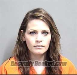 Recent Booking / Mugshot for SHERA DEAN ANDERSON in Dallas County, Iowa