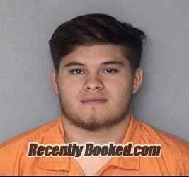 Recent Booking / Mugshot for CORI ALBERTO ALAMINA in Dallas County, Iowa