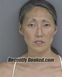 Brynn Kim Hwa Selser Mugshot & Arrest Info | Dubuque County, IA