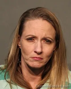 Becky Ann Bochniak Mugshot & Arrest Info | Polk County, IA