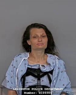 Samantha Leah Hoyle Arrest & Booking Info | Davidson County, NC