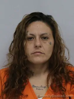 Tiffany Brooke Vanzant Arrest & Booking Info | Davie County, NC