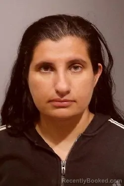 Kendall County Arrests & Mugshots | Illinois
