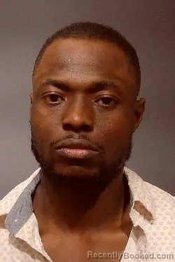 Olaoluwa Olakunle Adekoya Mugshot & Arrest Info | Kendall County, IL