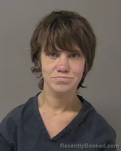 Alyssa Cheynne Cook Mugshot & Arrest Info | Macon County, IL