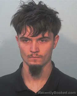 Logan Andrew Maidment Arrest & Booking Info | Allen County, IN