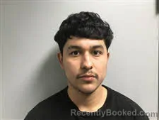 Ryan Armando Garcia-Martinez Arrest & Booking Info | Haywood County, NC
