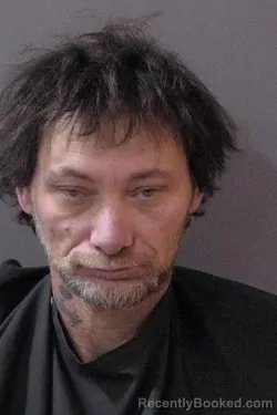 Louis David Johnson Mugshot & Arrest Info | Hamilton County, IN