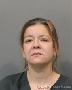 Marci Lynn Castillo Mugshot & Arrest Info | Lake County, IN